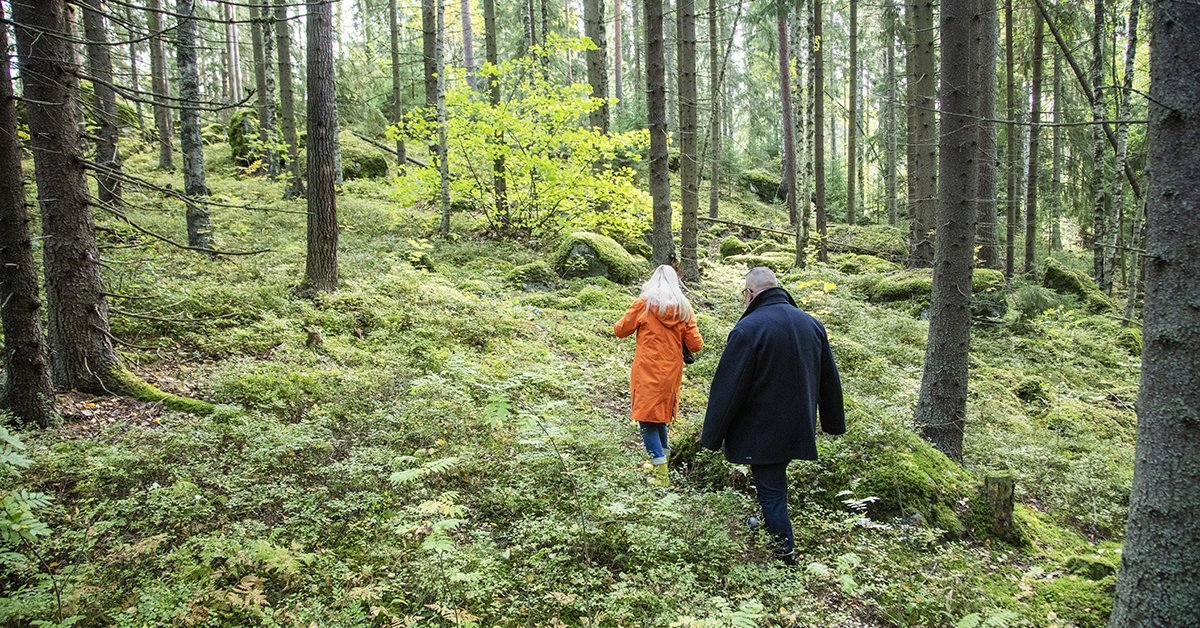 Dödsbon gör klokt i att ordna upp ägandet - Min Skog