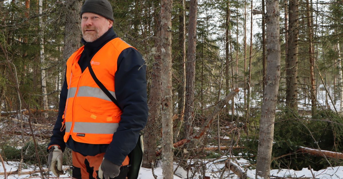 Tatu Viitasaari: När ska man avverka? - Min Skog