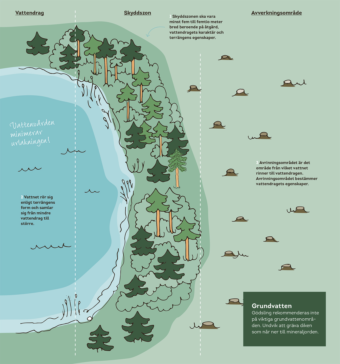 Glöm inte vattenvården i skogsbruket - Min Skog